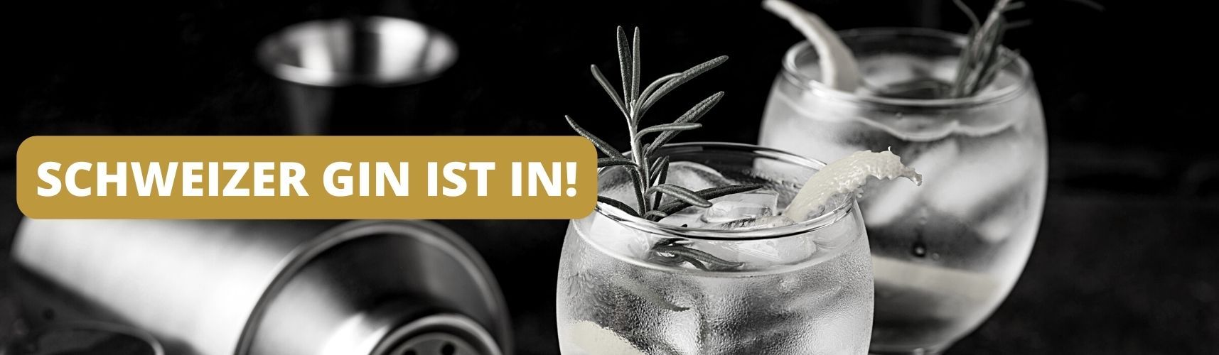 Schweiz ist ein GIN-Land!